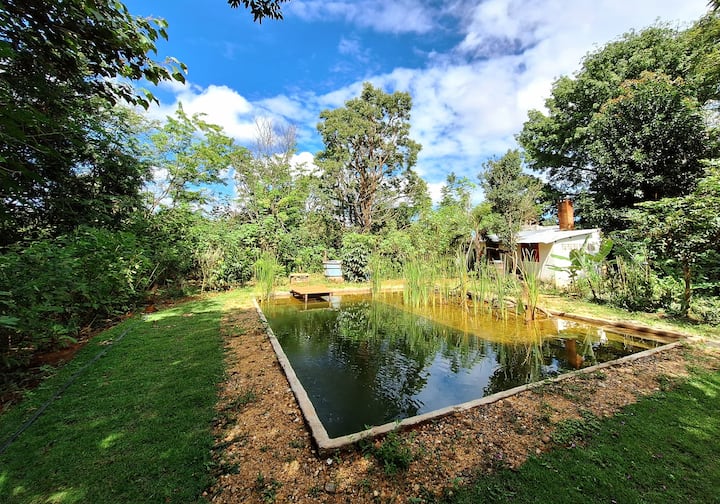 Casa Da Floresta Com Piscina Natural Orgânica - Sobradinho