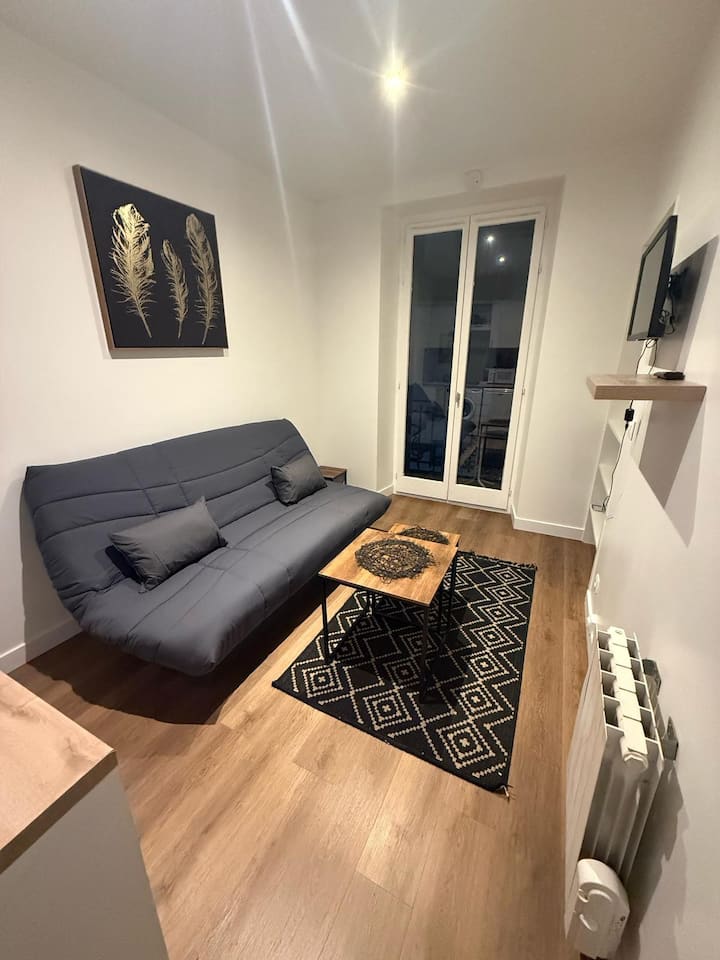 Studio Vue Lac Centre Ville - Évian-les-Bains
