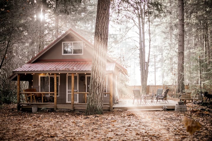 The Painted Moose: Newly Renovated, Pet-friendly - Packwood, WA