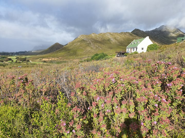 Witteklip Self-catering Farm - Bot River