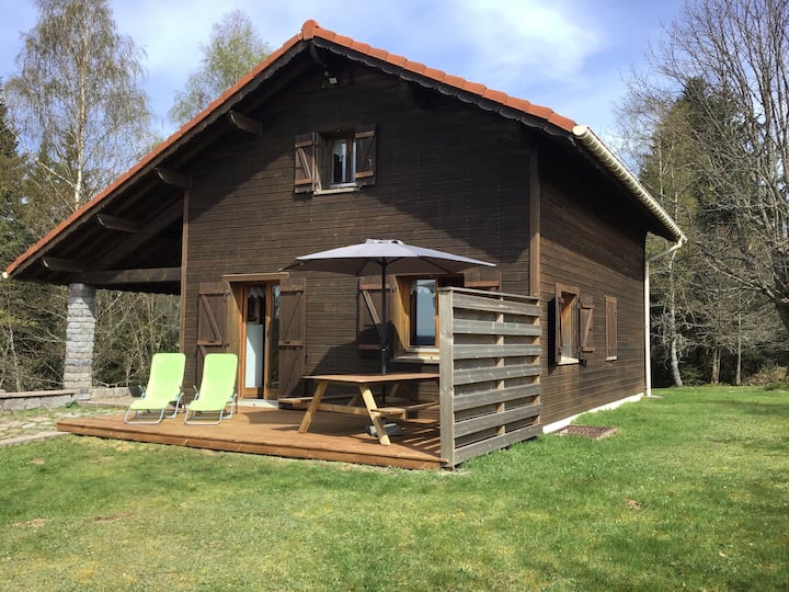 Chalet à 300 M Des Pistes De Ski - Vosges
