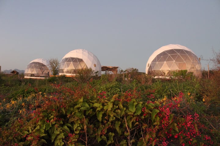 Glamping In Loreto, Baja California Sur -3 Domes- - Loreto
