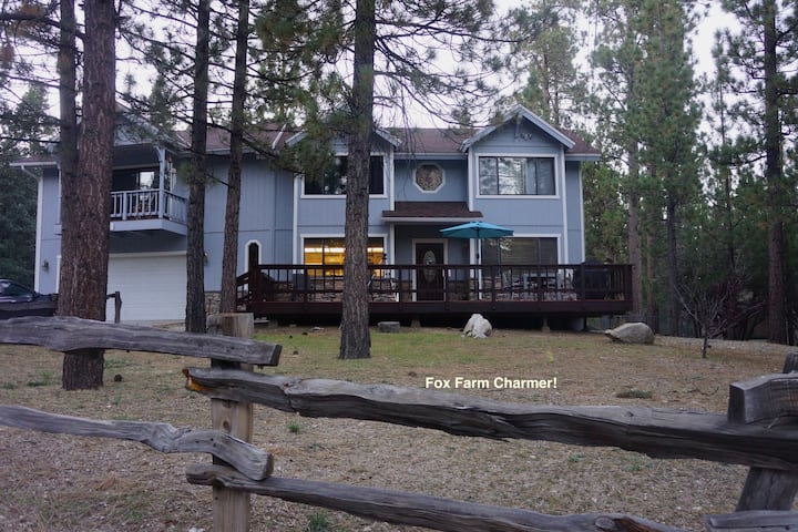 Welcome To The Fox Farm Charmer - Big Bear Lake, CA