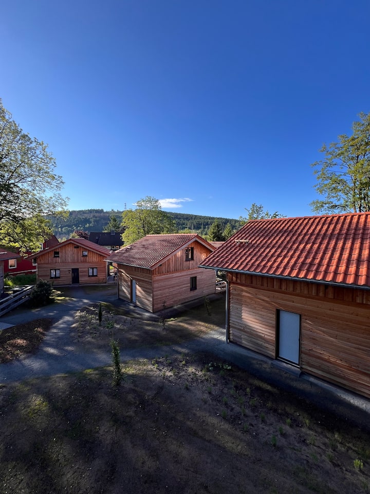 Ferienhaus Nr. 1 Im Cecilienpark Oberharz - Harz