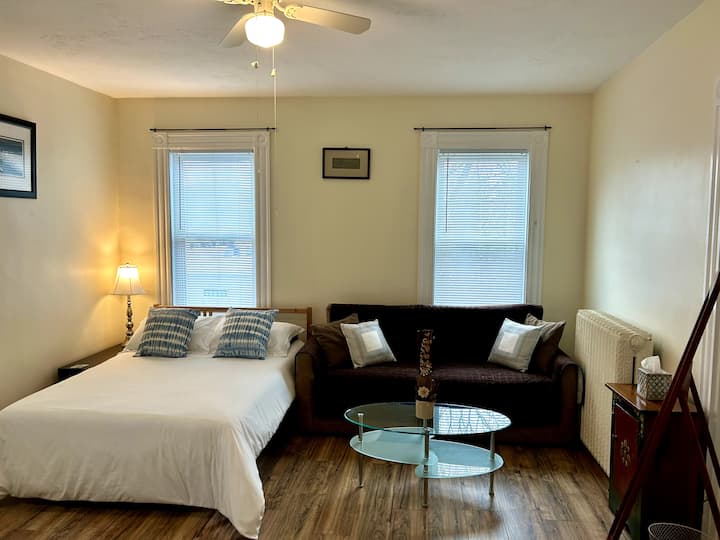 Full Bed Sofa Twin Bed Sleeps 4 - Dedham, MA