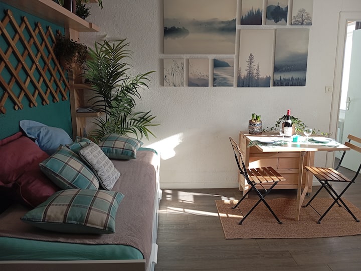 Appartement Calme, Hyper Centre. - Clermont-Ferrand