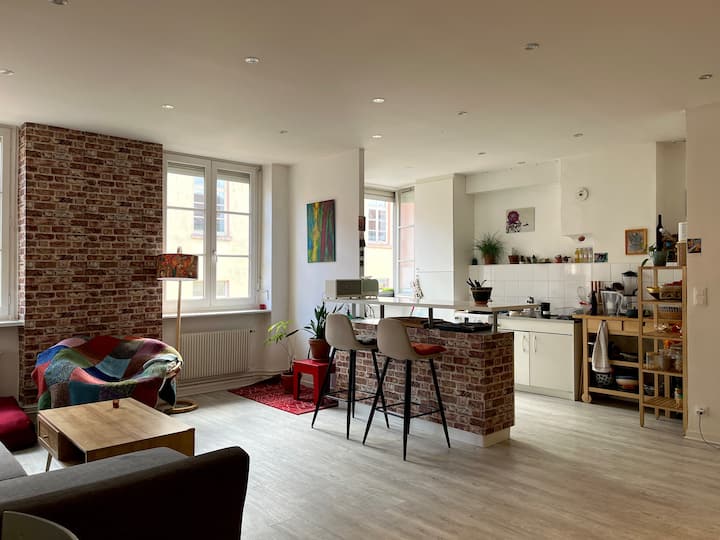 Cosy Appartement Lumineux Croix Roussien - Lyon