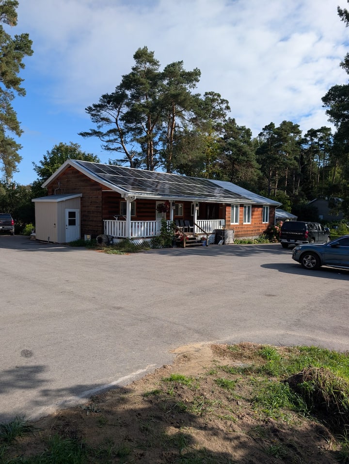 Apple Blossom In The Orchard - Whitchurch-Stouffville