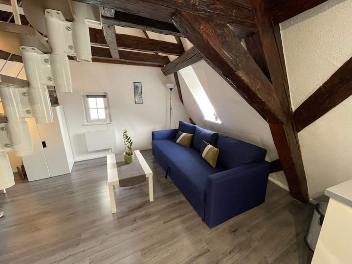Adorable Duplex Strasbourg Centre Ville - Strassburg