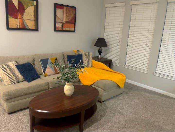 Lovely Houston Med. Center Apt. - South Park - Houston