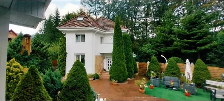 Villa Elena: Luxury Forest Living - Bușteni