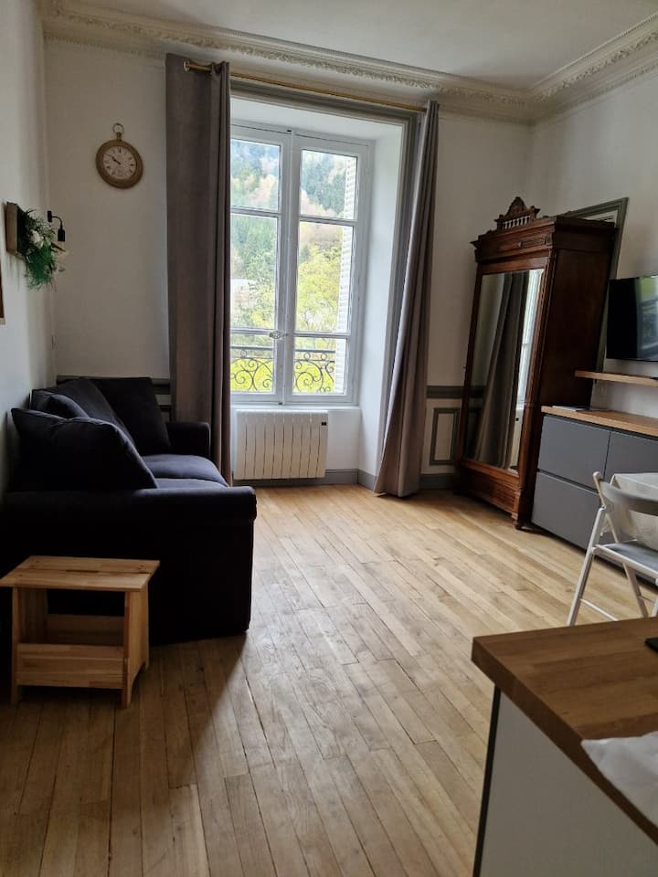 Studio De Charme N° 78, 2 Pers - Lac de Guéry