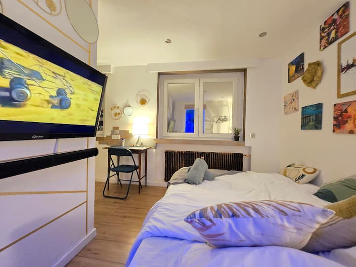 Nid Cosy Sauna Privé  Prox Centre Strasbourg &Kehl - Strasbourg