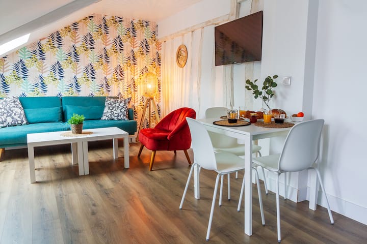 Bel Appartement-proche Hypercentre-"la Mansarde" - Rouen