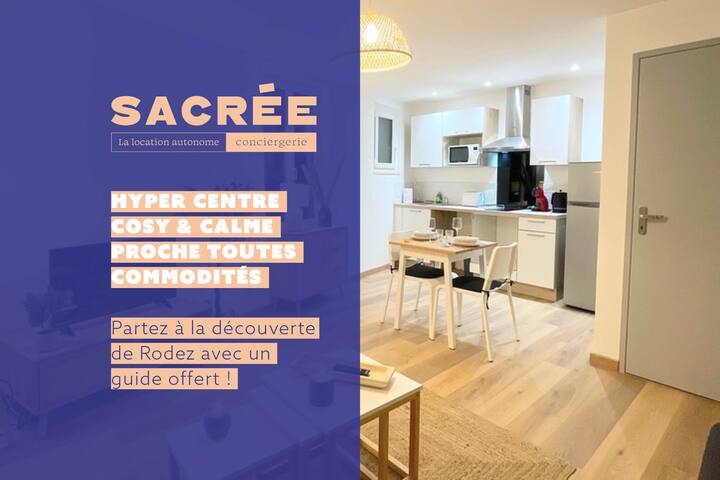 / Cocon \ Paisible Hyper Centre Rodez - Rodez