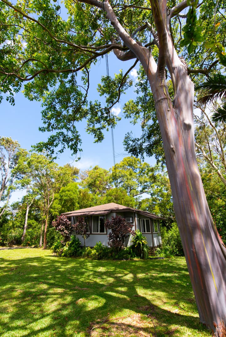 Rainbow Forest Cottage + Private Yard - O‘ahu, HI