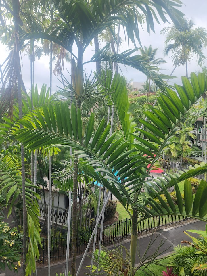 Beautiful Condo In Kona! - Kailua-Kona, HI