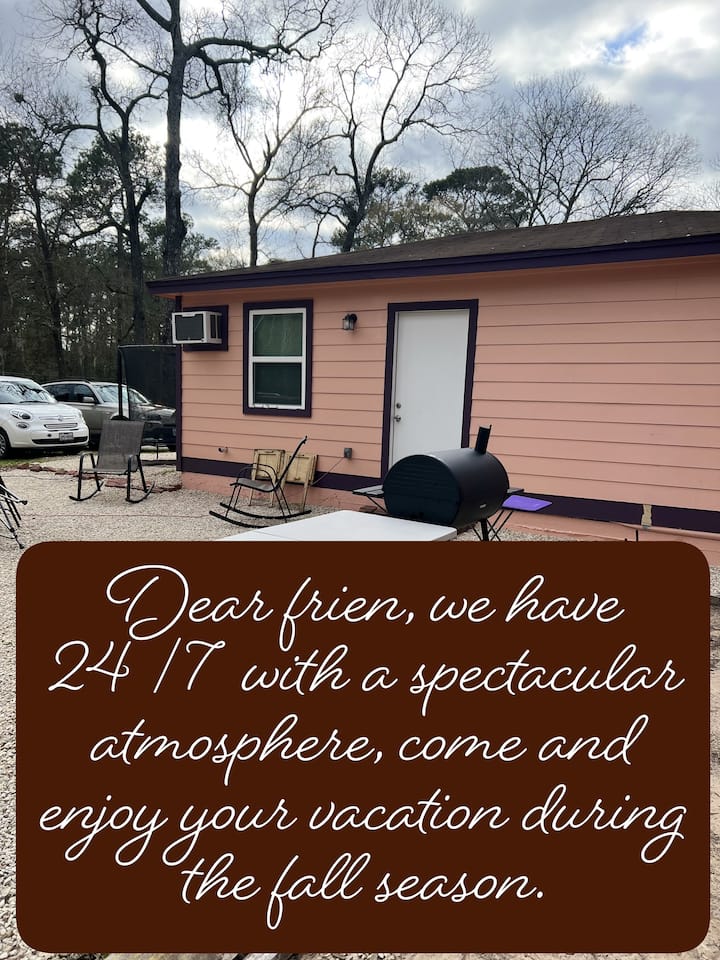 Smile At Life #2, Private Detached House. - Spring, TX