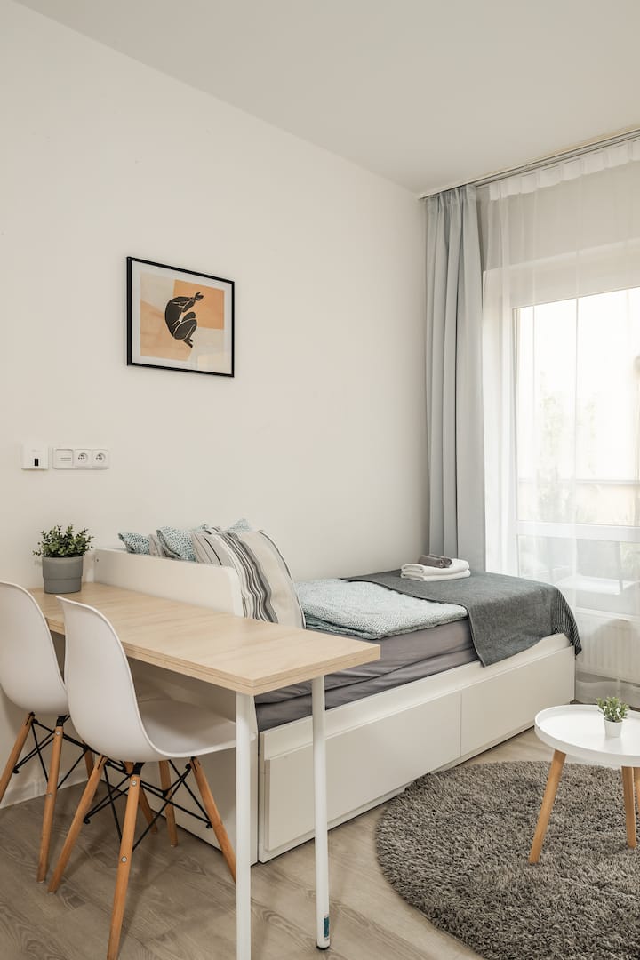 Seifert Residence: Travel&work Flat Near Downtown! - براغ