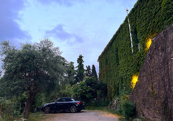 Sunrise - Portofino
