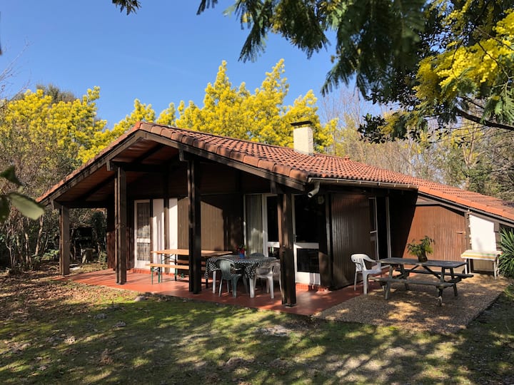 Chalet Au Coeur Des Pins Et Mimosas - Linxe