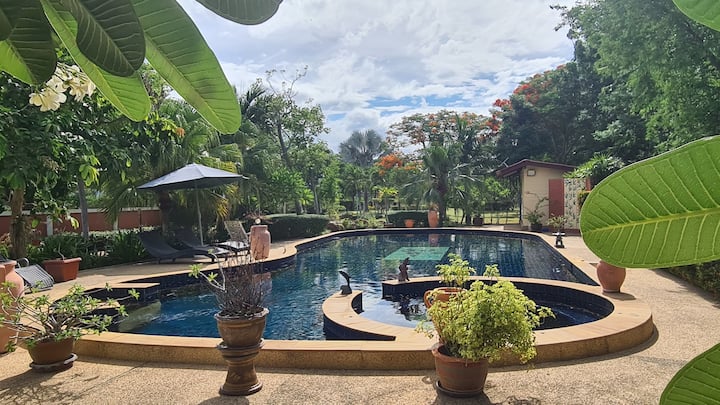 Bungalowgelb 85qm 2per1nacht1150thb 
 Nofrühstück - Khao Yai