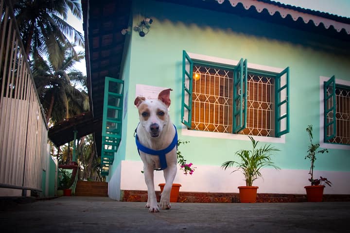 Thebungalow-south Goa Indo-portuguese Beach Villa - Goa