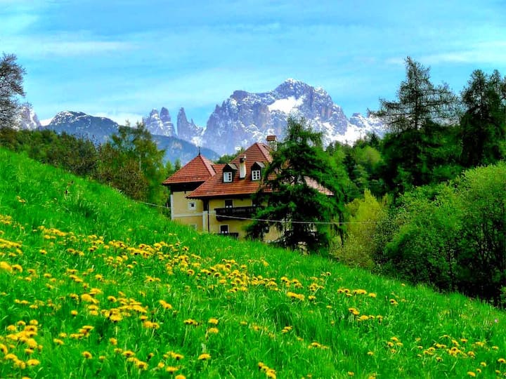 App. Lisi  Inkl. Mobilcard Kostenlos | Waldegg - Alpe di Siusi