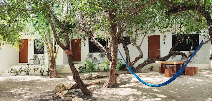 Starlink Wifi, 1 Block To Sea - Isla Holbox