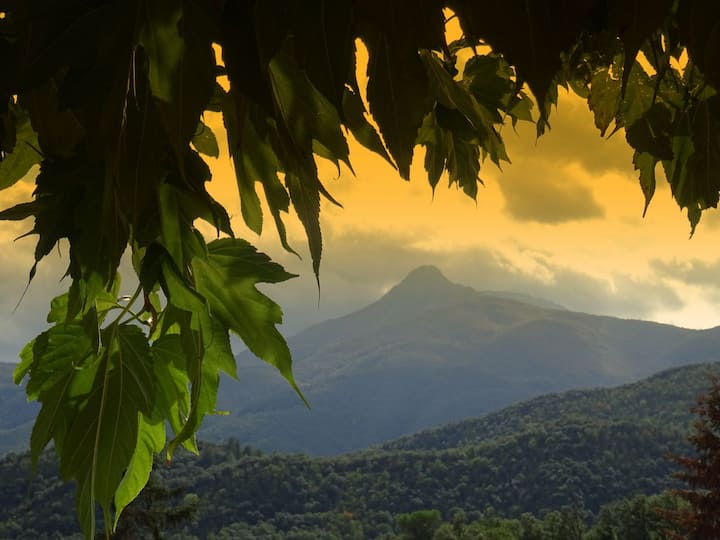 Empieza El Año En Plena Naturaleza Y Con Chimenea - Matagalls