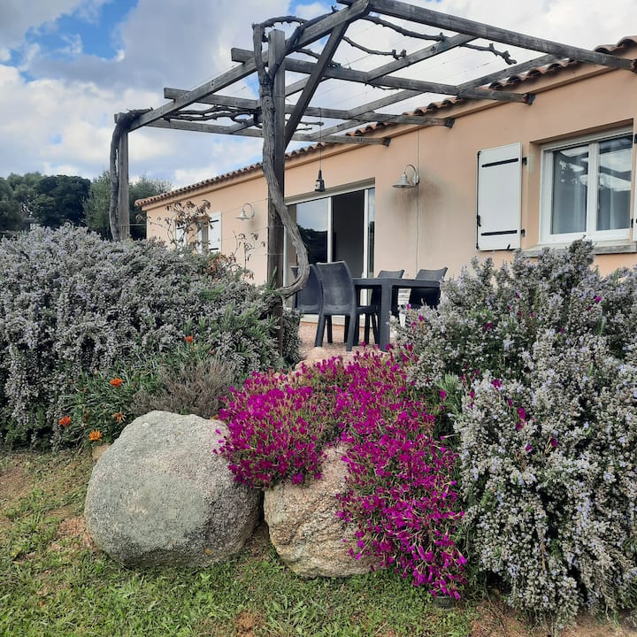 Maison 4 Pers à La Campagne à 4 Km De Porto Pollo - Serra-di-Ferro