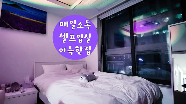 퍼플#매일방역#신축#중앙로역#시내#투어#가성비#비대면#출장#깨끗한#아늑한#넷플릭#셀프#조용 - Daegu