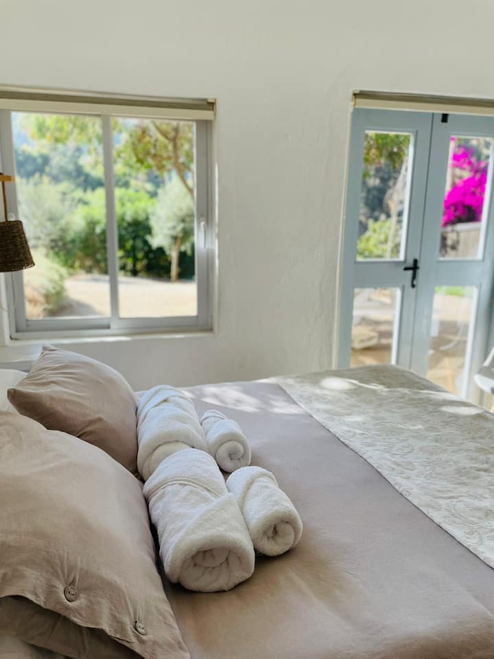 Maravillosa Cabaña En Parque Laguna - Zapallar