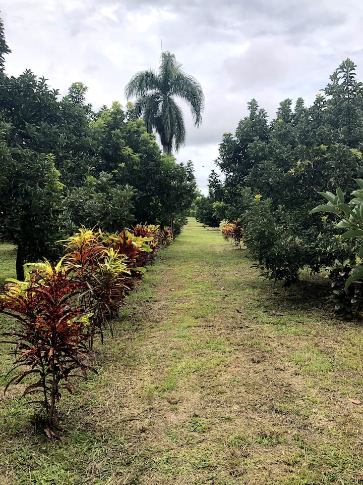 Solares De María. Parcela Botánica - Victoria, Colombia