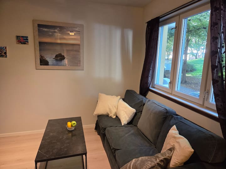 Apartment In Central Part Of Oslo - Oslo