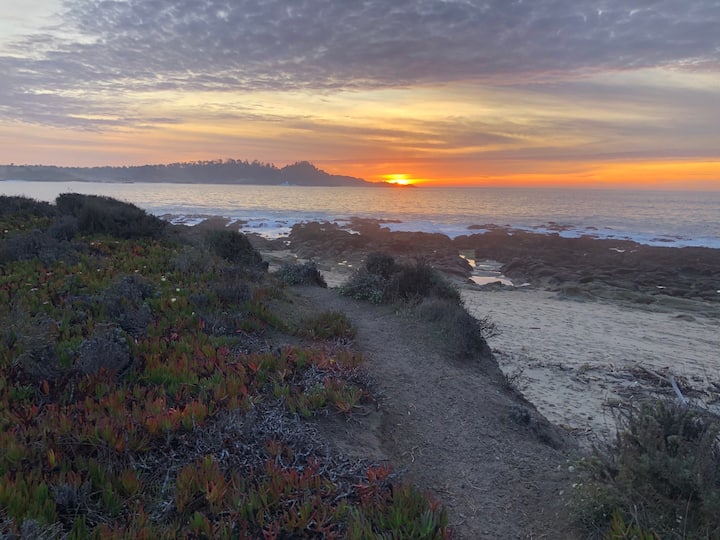 Prime Location! Quiet 3br 2ba. Walk To Beach! - Carmel-by-the-Sea, CA
