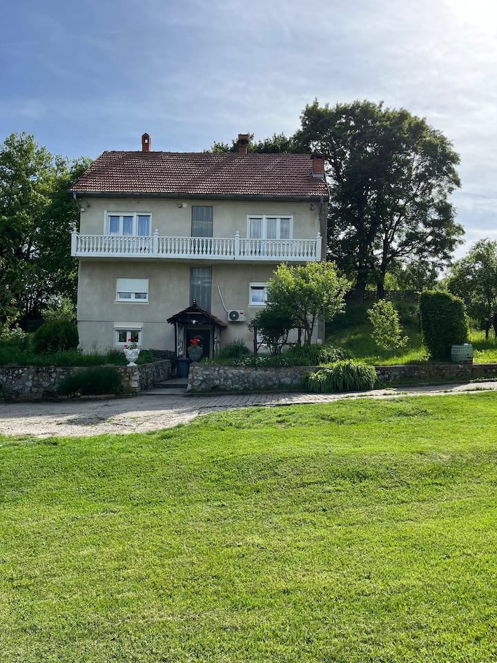 Villa Antonijevic - Bor