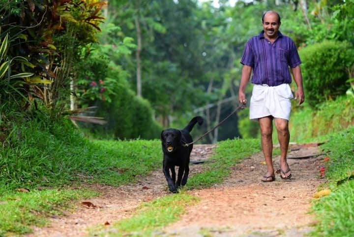 Wayanad Family Ac Premium Homestay - Wayanad