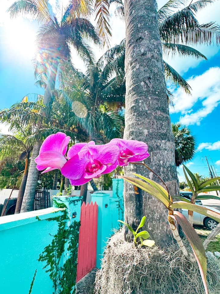 Complimentary Car! Casa Azul! ~Island Time Ave~ - Nassau