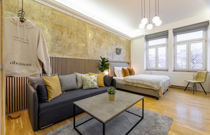 35sqm, High Ceiling Private Room With 55 Inch Tv - Prague