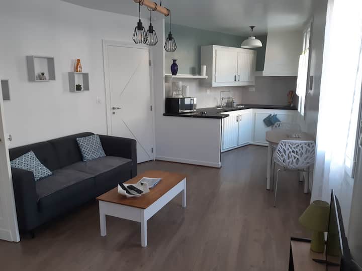 Agréable Et Lumineux Studio En Centre-ville - Albí