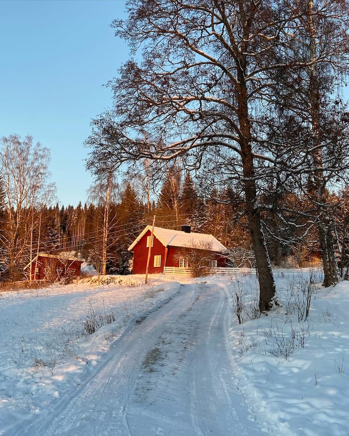 Landlig Og Rustikk Husmannsplass Med Stor Eiendom - Moelv
