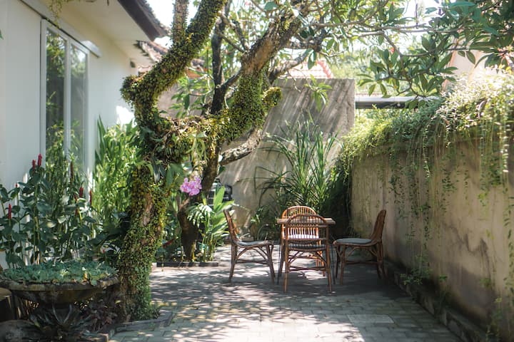 Live Love Sanur - Sanur