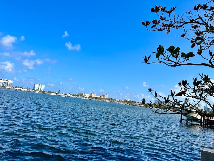 Walk 2 Beach! 50% Off Monthly 32days+ Snowbirds! - 好萊塢