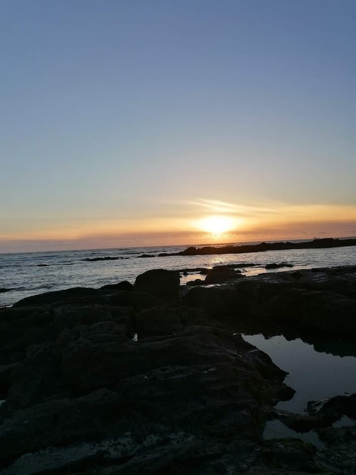 Férias Entre A Praia E O Pinhal - Viana do Castelo