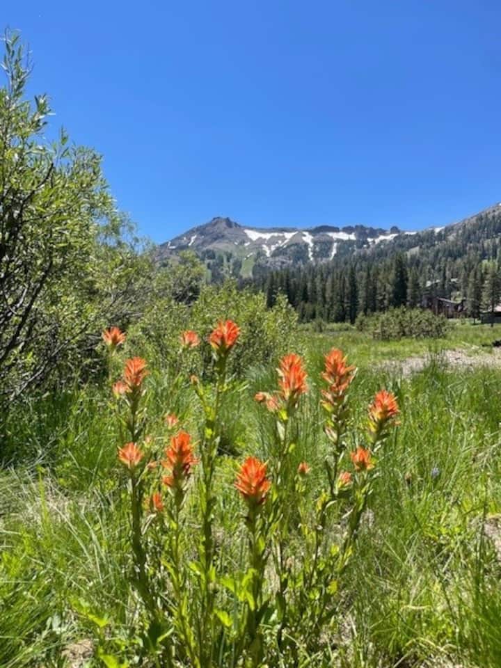 Kirkwood Studio: Ski In/walk Out - Hope Valley, CA