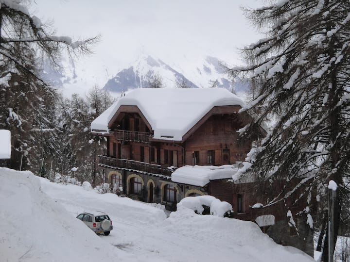 Appartement De Charme Dans Un Chalet Historique - Sion