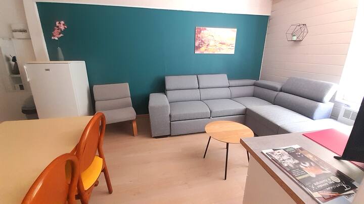 Anémone - Confortable Grand 2 Pièces Vue Sur Forêt - Lac Pavin