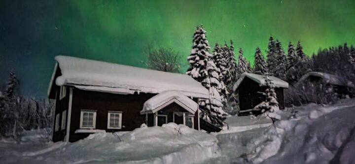 Aurora Cottage ÅRe. Järpen. - Järpen