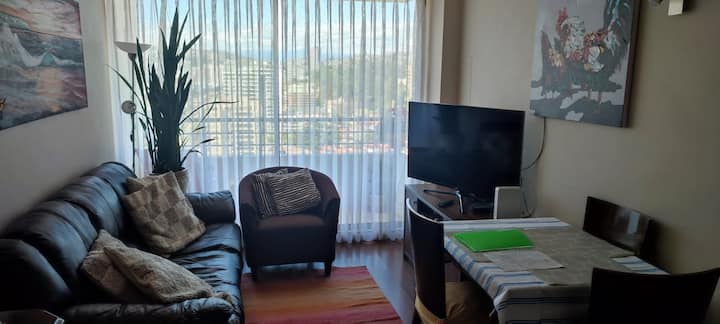 Departamento Excelente Ubicación - Viña del Mar
